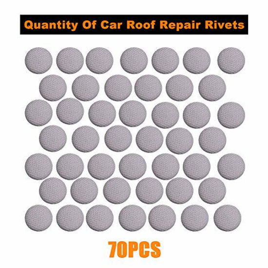 GetUSCart- Niteguy 70pcs Car Roof Headliner Repair Button, Auto Roof ...