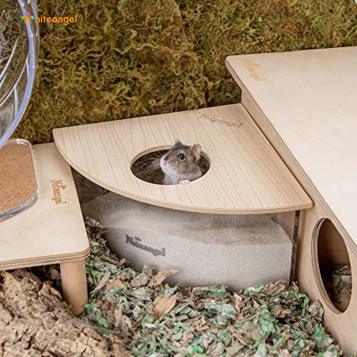 GetUSCart- Niteangel Animal Sand-Bath Box: - Acrylic Critter's Sand ...