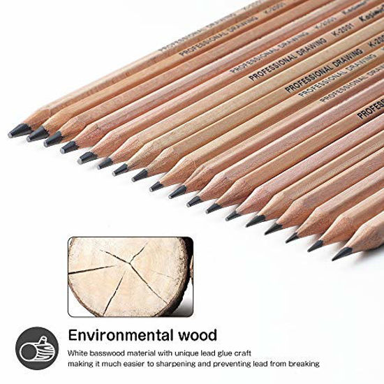 GetUSCart- Sketching Pencil Set, Drawing Pencils and Sketch Kit,30 ...