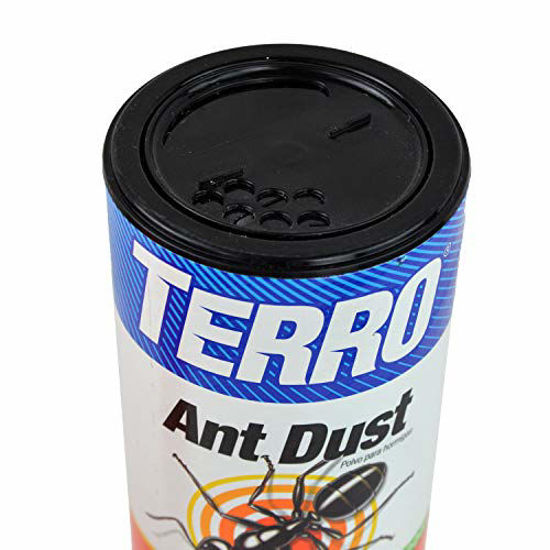 GetUSCart- TERRO T600 Ant Dust - Kills fire ants, carpenter ants ...