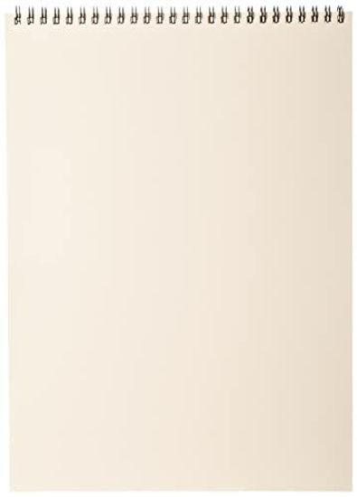 GetUSCart- Strathmore (400-4 400 Series Drawing Pad, 9"x12", Ivory ...