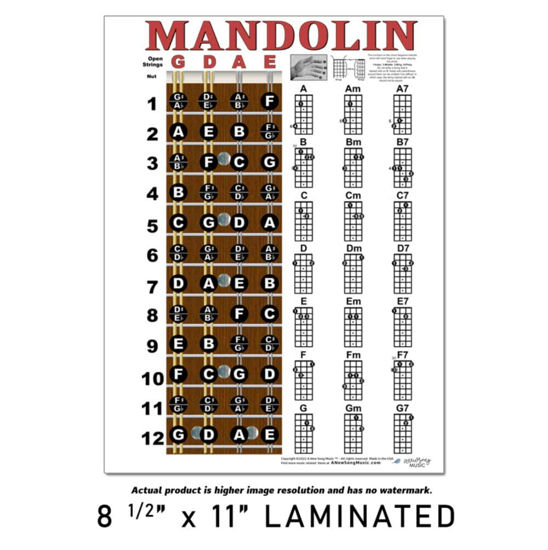 GetUSCart- A New Song Music Laminated Mandolin Easy Chord Chart ...