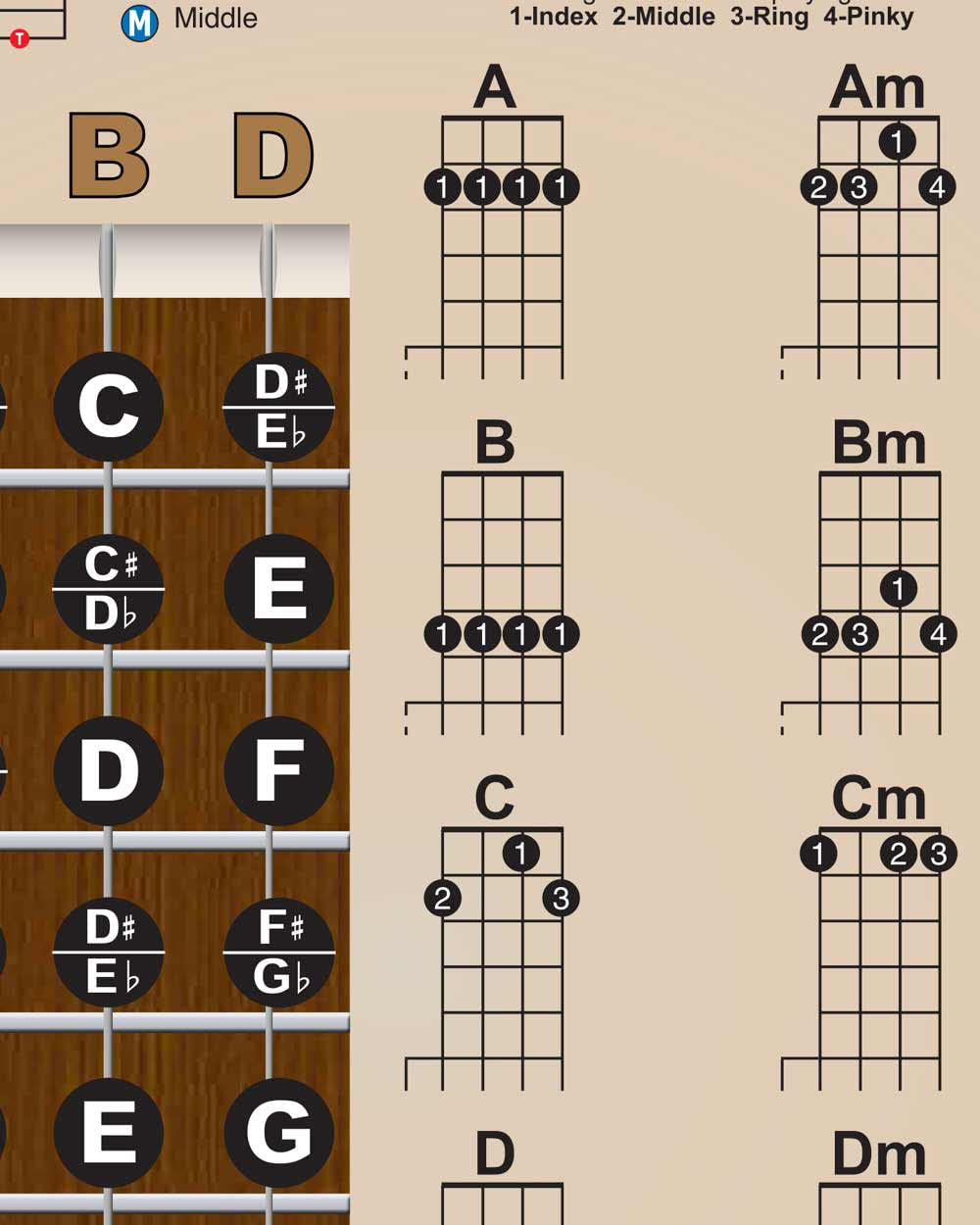 GetUSCart- Banjo Americana Style Easy Chords Rolls & Fretboard Note ...