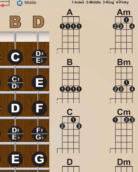 GetUSCart- Banjo Americana Style Easy Chords Rolls & Fretboard Note ...
