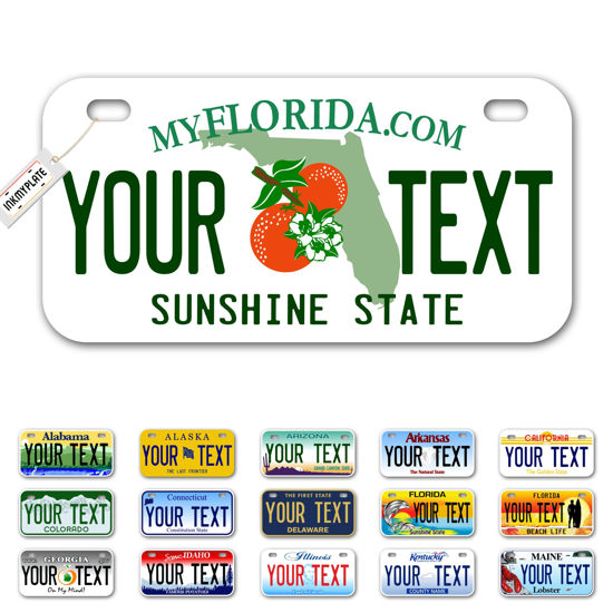 GetUSCart- InkMyPlate Personalized Florida Small License Plate | Bike ...