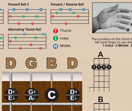 GetUSCart- Laminated Banjo Americana Style Easy Chords Rolls ...