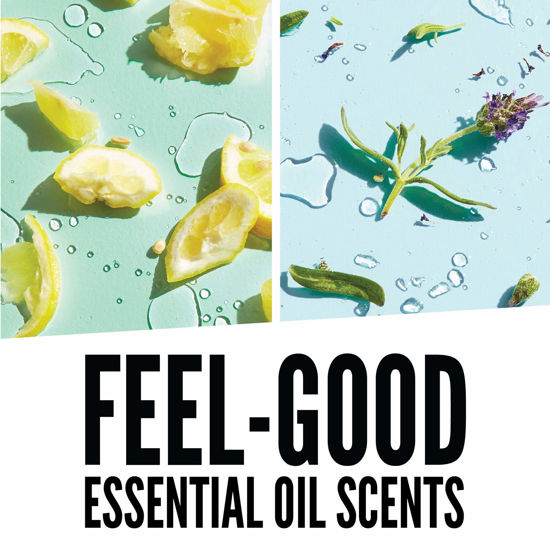 GetUSCart- Aunt Fannie's Carpet Refresher, Odor Neutralizing Powder for ...