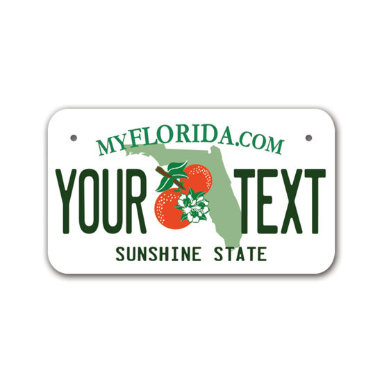 GetUSCart- InkMyPlate Personalized Florida Mini License Plate | Choose ...