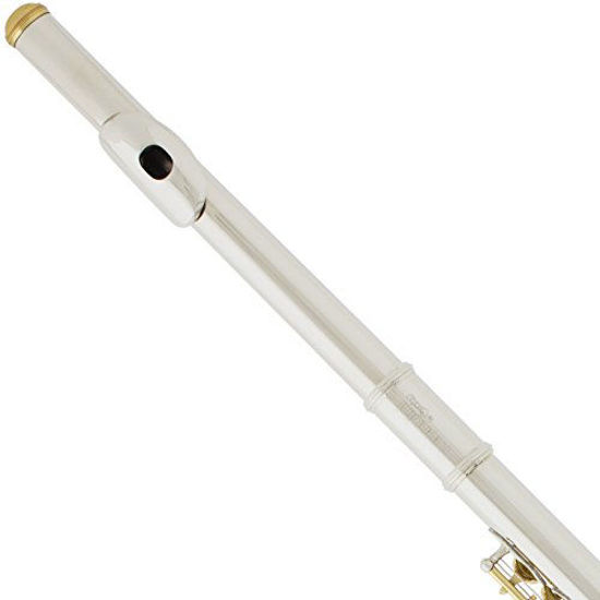 GetUSCart- Mendini By Cecilio Flutes - Closed Hole C Flute For ...