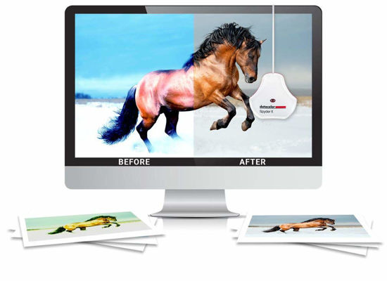 GetUSCart- Datacolor SXSSR100 Spyder X Studio: Suite of Photo Tools for ...