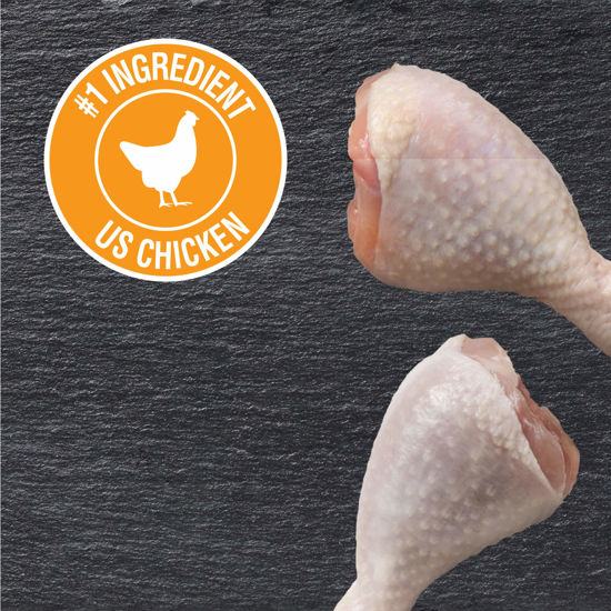 GetUSCart- CESAR Soft Wet Dog Food Filets in Gravy Rotisserie Chicken ...
