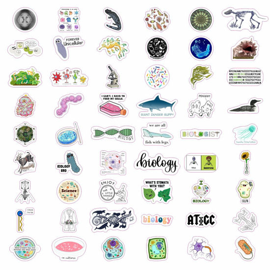 GetUSCart- 100Pcs Funny Biology Stickers for Laptop & Water Bottles ...