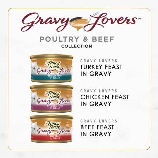 GetUSCart- Purina Fancy Feast Gravy Lovers Poultry and Beef Gourmet Wet ...