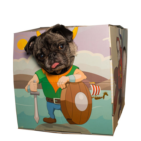 GetUSCart- Paladone Animal Adventures Pet Photo Booth Frame