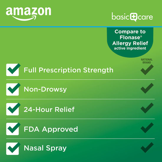 GetUSCart- Amazon Basic Care 24-Hour Allergy Relief Nasal Spray ...
