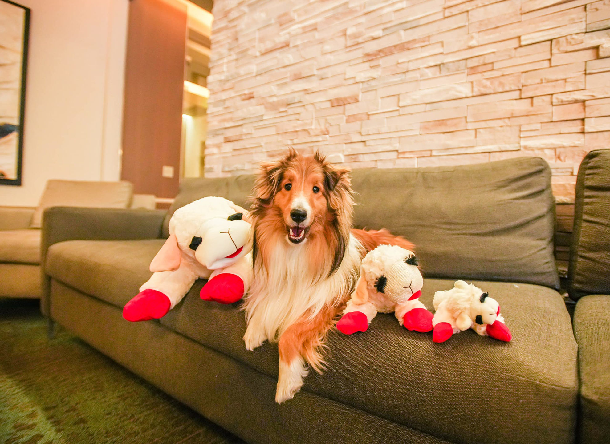 GetUSCart- Multipet's Officially Licensed Lamb Chop Jumbo White Plush Dog Toy, 24-Inch