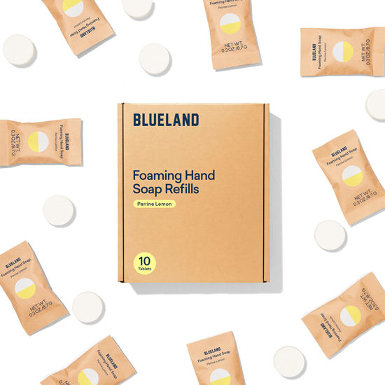 GetUSCart- BLUELAND Foaming Hand Soap Tablet Refills - 10 Pack | Eco ...