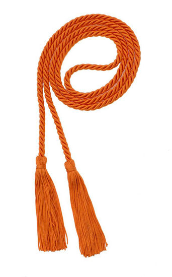 GetUSCart- Graduation Honor Cord - Orange - Every School Color ...