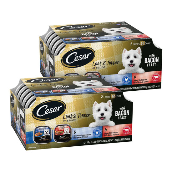GetUSCart- CESAR Soft Wet Dog Food Loaf & Topper in Sauce Bacon Feast ...