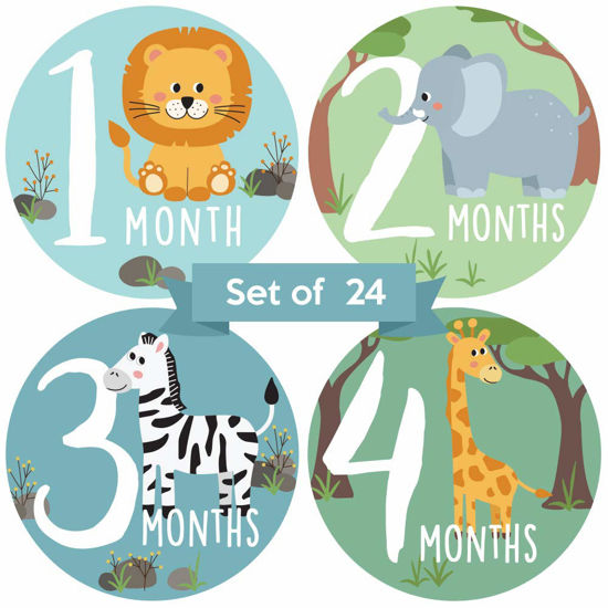GetUSCart- Baby Monthly Stickers | Zoo Animals Baby Milestone Stickers ...