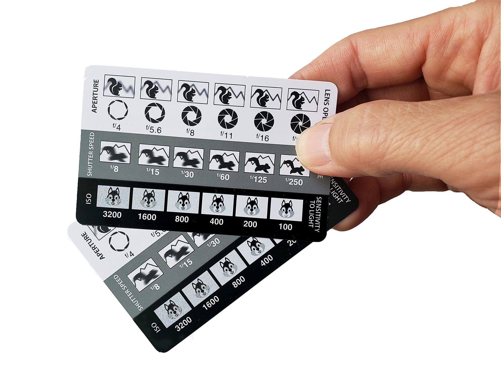 GetUSCart- (2 Pack) DSLR/mirrorless Photography Cheat Sheets Credit Card Size Reference Card ...