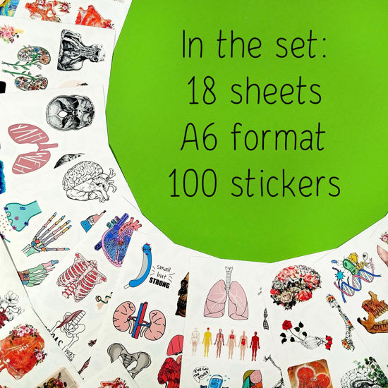 GetUSCart- 100Pcs Anatomy Stickers, Human Anatomy Decals, Body Part ...
