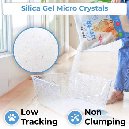 GetUSCart- Alpha Paw - Genius Cat Litter with 5-Color Health Indicator ...