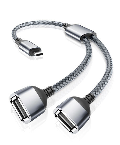 GetUSCart- USB C Male to Dual USB Female Cable Adapter 1FT,Thunderbolt ...