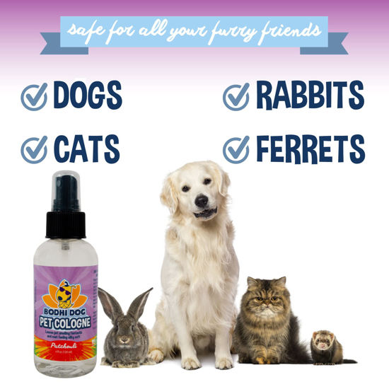 GetUSCart- Bodhi Dog Natural Pet Cologne | Premium Scented Perfume Body ...