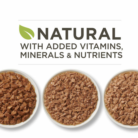 GetUSCart- Purina ONE Natural, High Protein Wet Cat Food Variety Pack ...