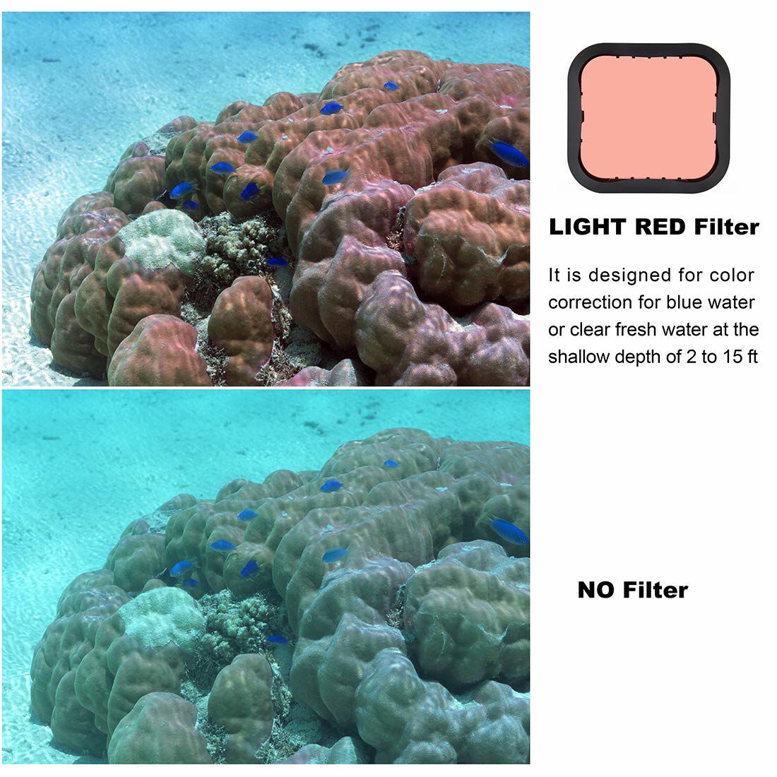 GetUSCart- GEPULY 3-Pack Dive Filter (Red, Light Red, Magenta) for ...