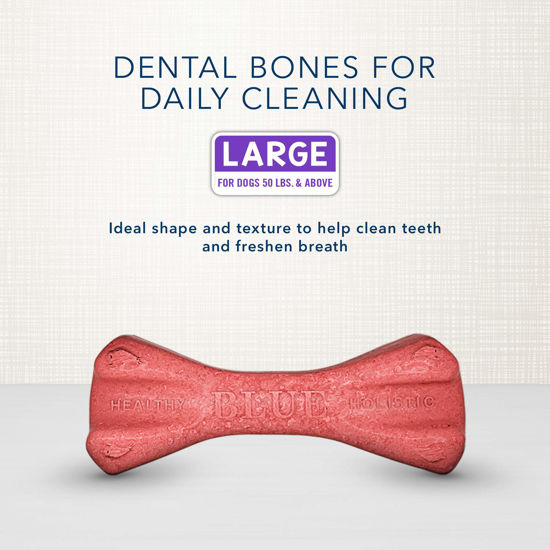 GetUSCart- Blue Buffalo Dental Bones Large Natural Dental Chew Dog ...