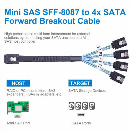 GetUSCart- OIKWAN Internal Mini SAS to SATA Cable (SFF-8087 to SATA ...