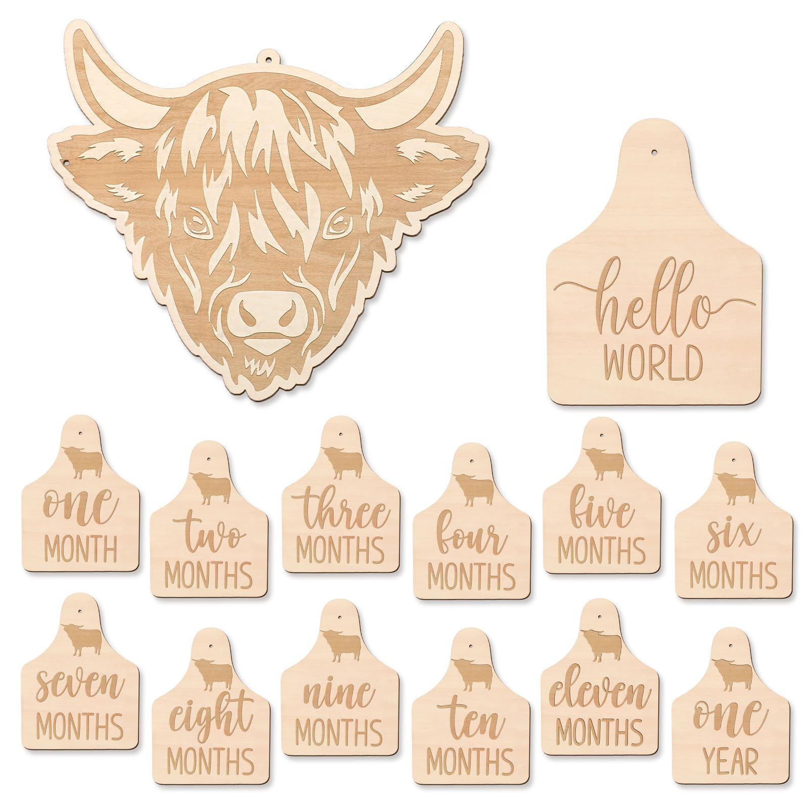 GetUSCart- Huray Rayho Highland Cow Baby Monthly Milestone Cards Rustic ...