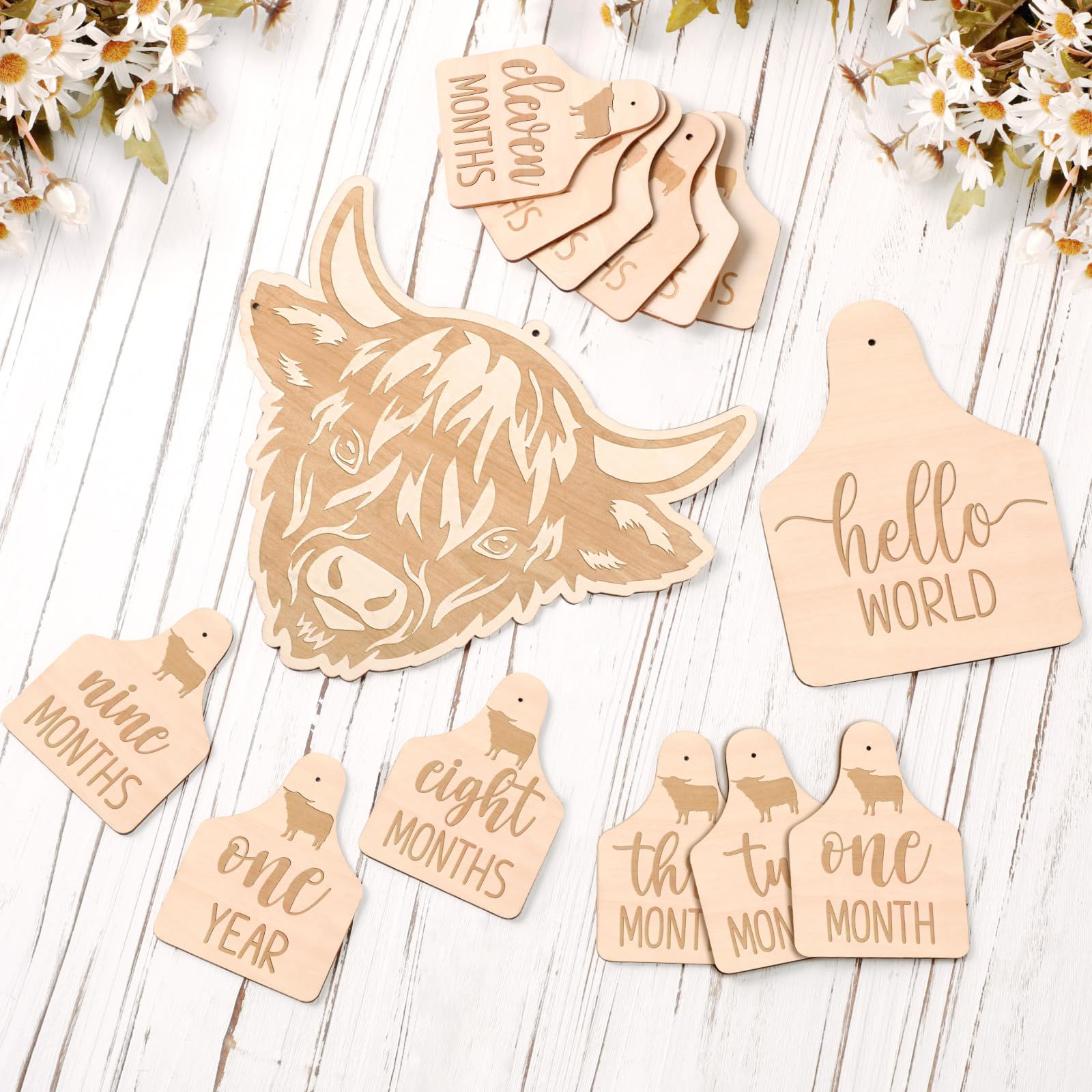 GetUSCart- Huray Rayho Highland Cow Baby Monthly Milestone Cards Rustic ...
