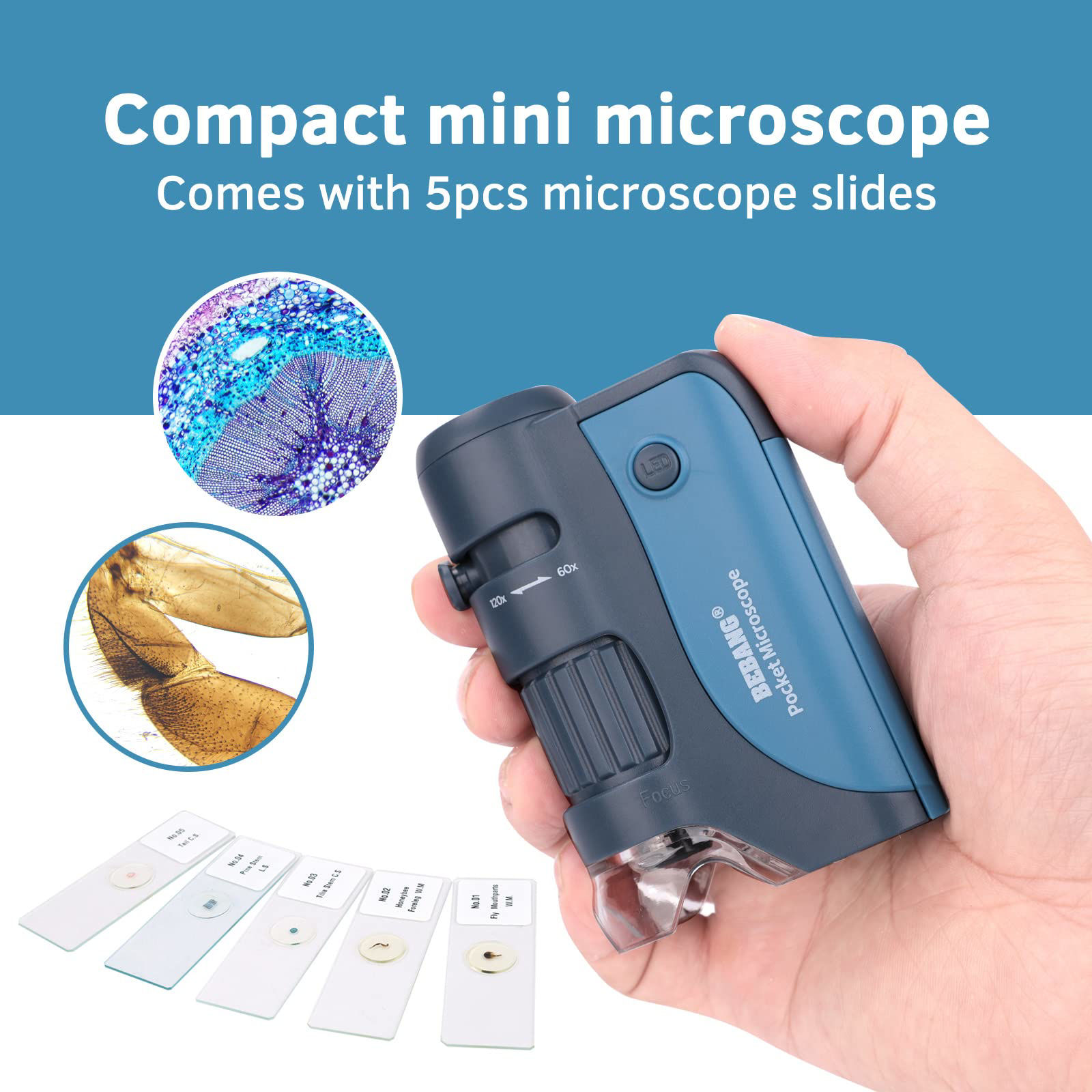 GetUSCart- BEBANG Pocket Microscope, 60x-120x Handheld Mini Microscope ...
