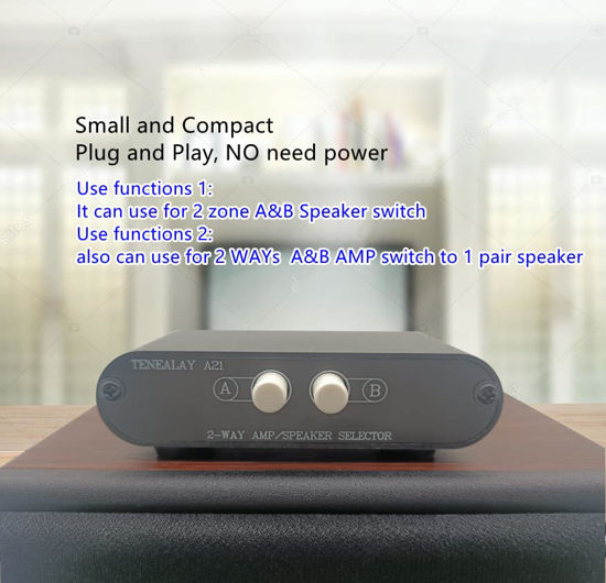 GetUSCart- TENEALAY 2-Way Stereo Amplifier Speaker Selector, AB Speaker ...