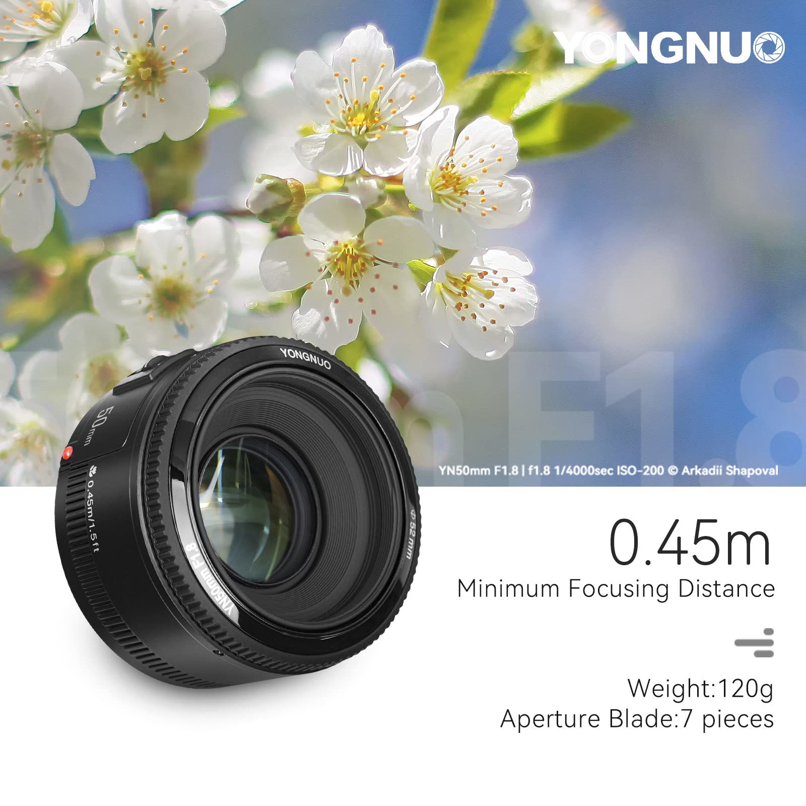 GetUSCart- YONGNUO YN50mm F1.8C Lens, Large Aperture Auto Focus Lens, 50MM F1.8 for Canon EF ...