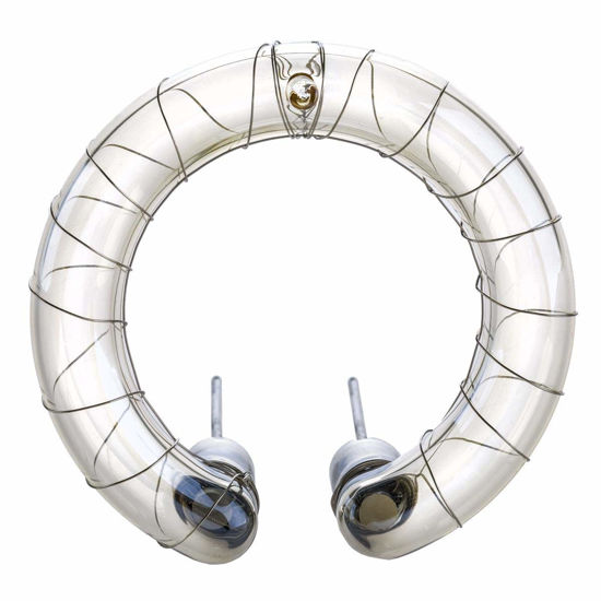 GetUSCart- Flashpoint Replacement Flash Tube for Rapid 400 and 600 ...