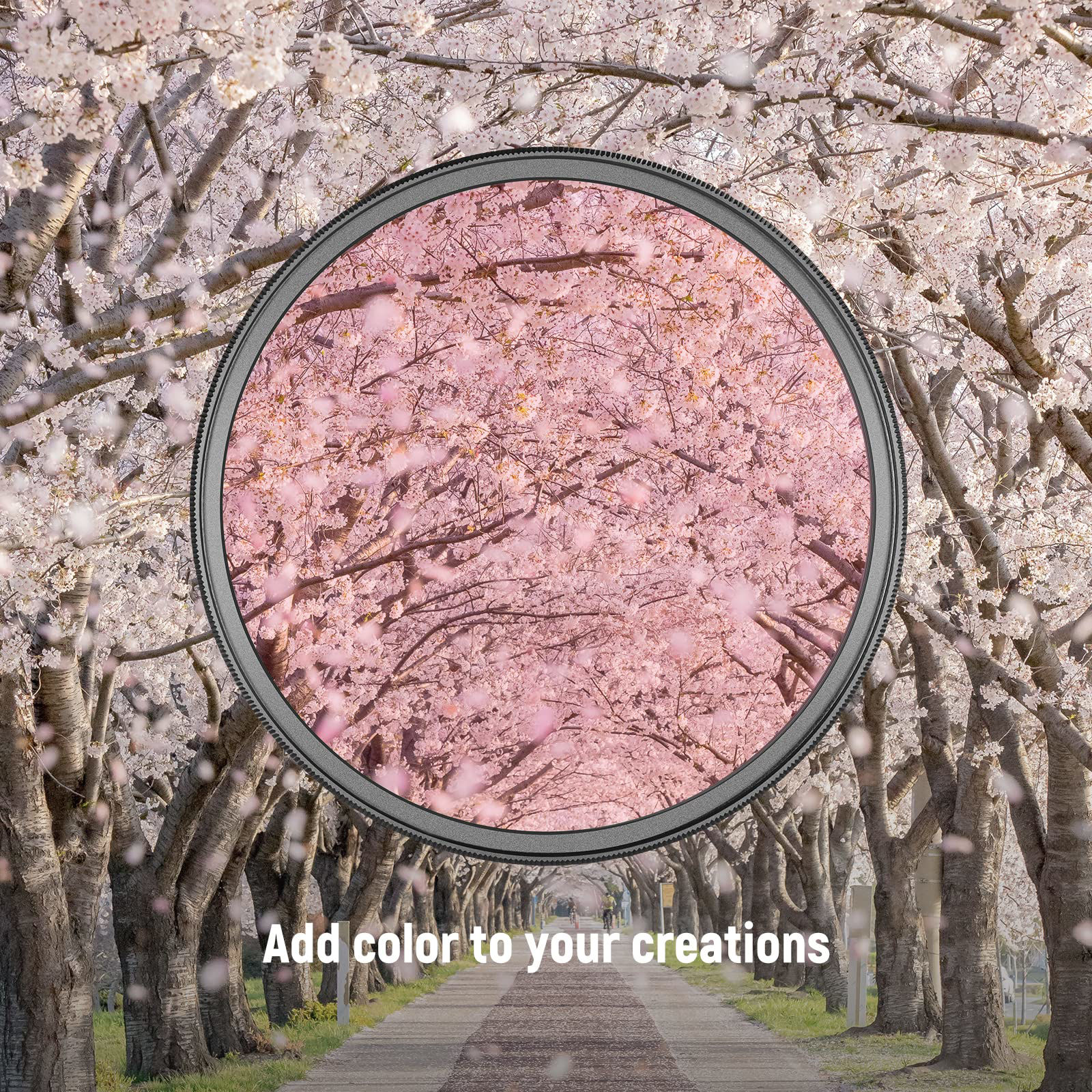 GetUSCart- NEEWER 9PCS Full Color Lens Filter Set, 55mm Resin Lens ...