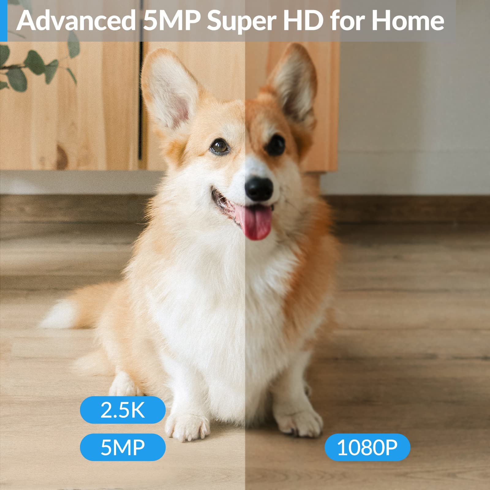 GetUSCart- ACCULENZ 5MP HD Pet Camera Indoor 2.5K, 2.4GHz WiFi Camera ...