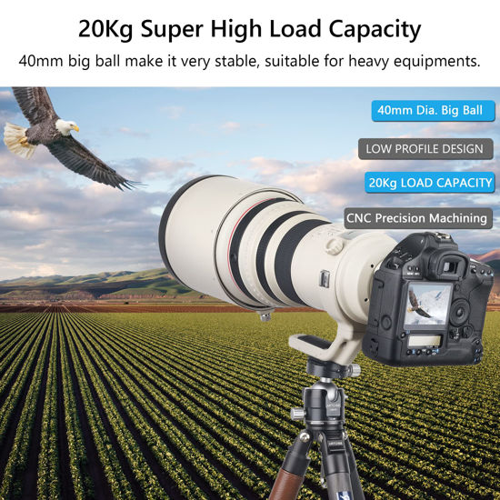 GetUSCart- Low Profile Camera Tripod Head with 2 Arca Quick Release ...