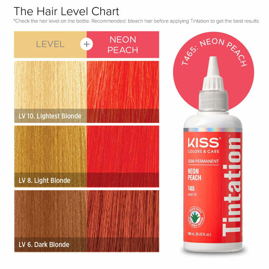 GetUSCart- Kiss Tintation Semi-Permanent Hair Color Treatment 148 mL (5 ...