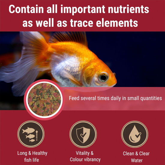 GetUSCart- Tetra Goldfish Flakes, Nutritionally Balanced Diet For ...