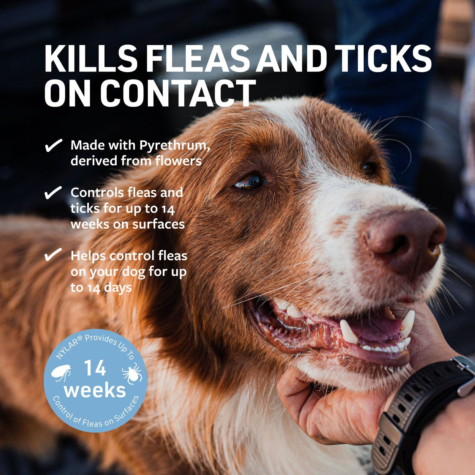 GetUSCart- Veterinary Formula Flea and Tick Spray for Dogs, 8 oz - Easy ...