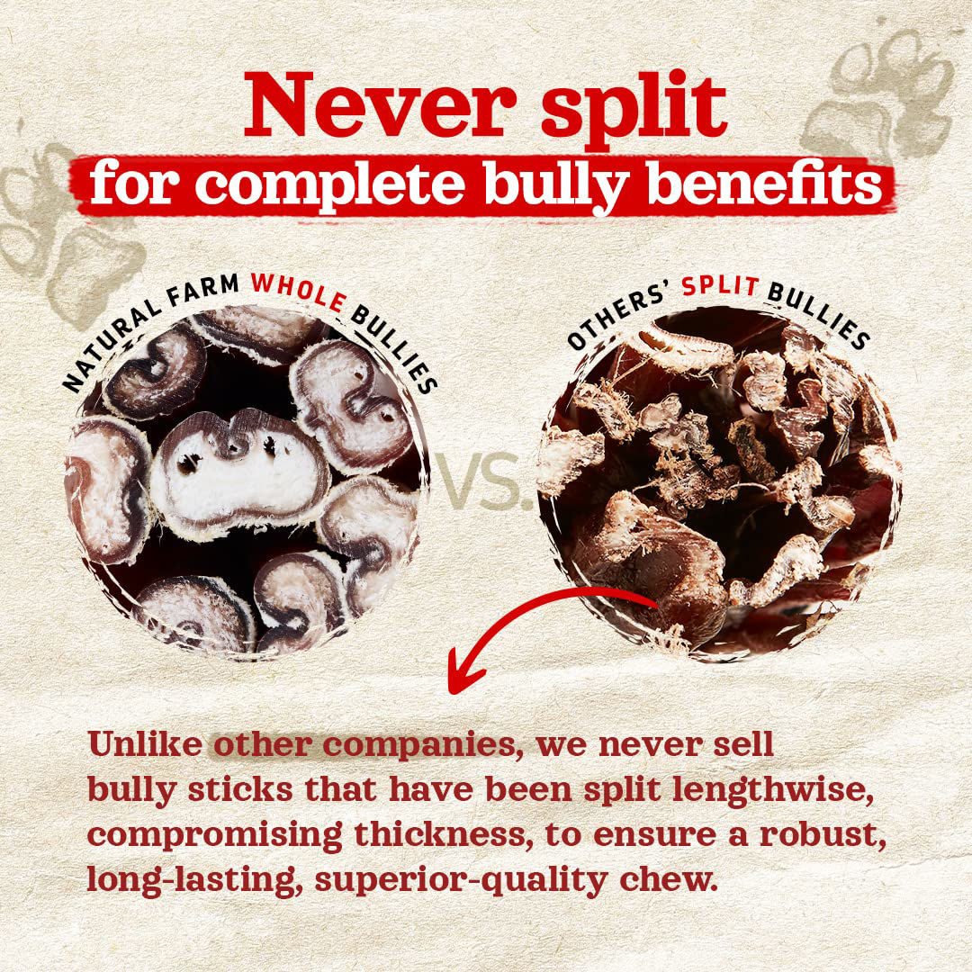 GetUSCart- Natural Farm Odor-Free Jumbo Bully Sticks, (6 Inch, 2 Pack ...