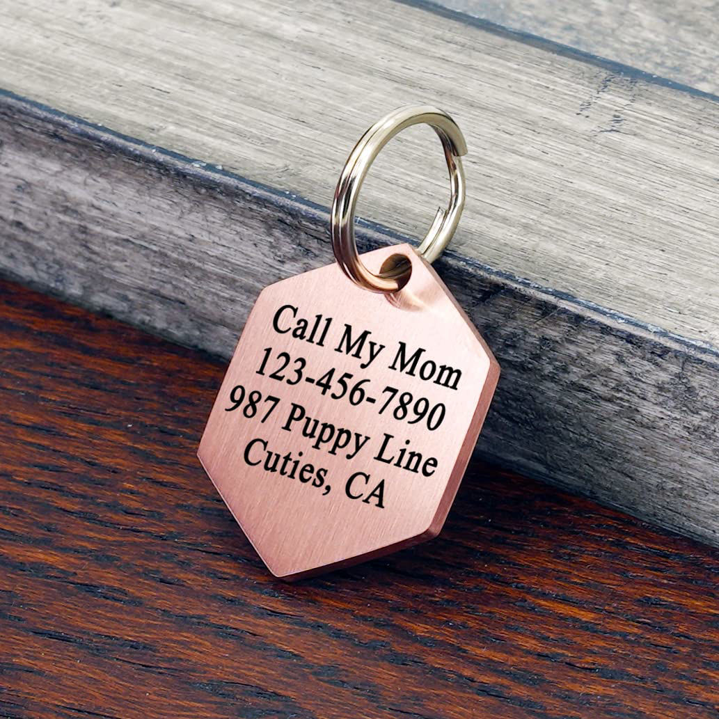 GetUSCart- Ultra Joys Stainless Steel Pet ID Tag Dog Name Tags ...