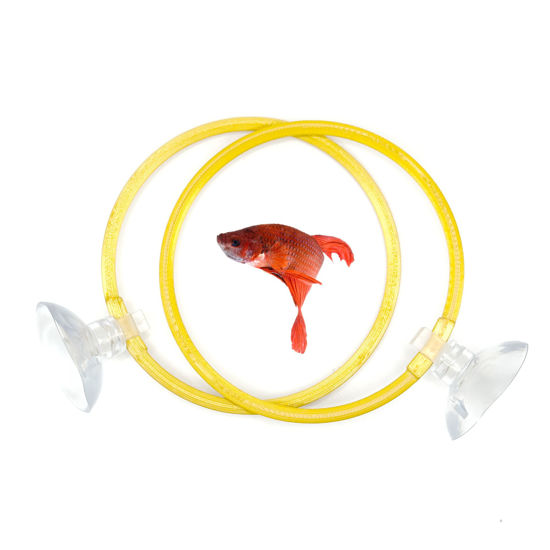 GetUSCart- Betta Fish Olympic Ring For Betta Fish Trainning 2 Pack ...