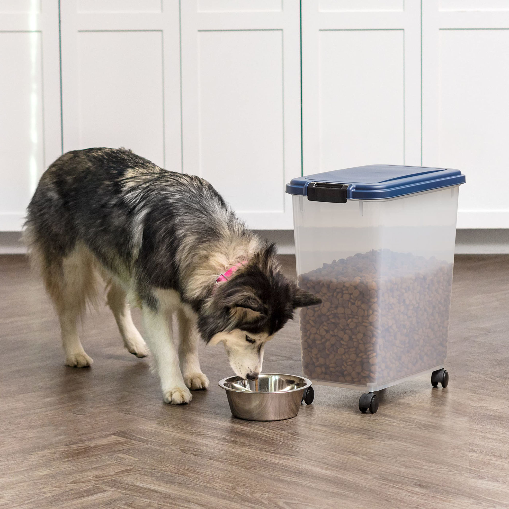 GetUSCart- IRIS USA WeatherPro Airtight Dog Food Storage Container, Up ...