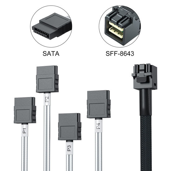 GetUSCart- 10Gtek# 6G Internal MiniSAS HD SFF-8643 to 4X SATA 7pin Hard Disk Data Server Raid ...